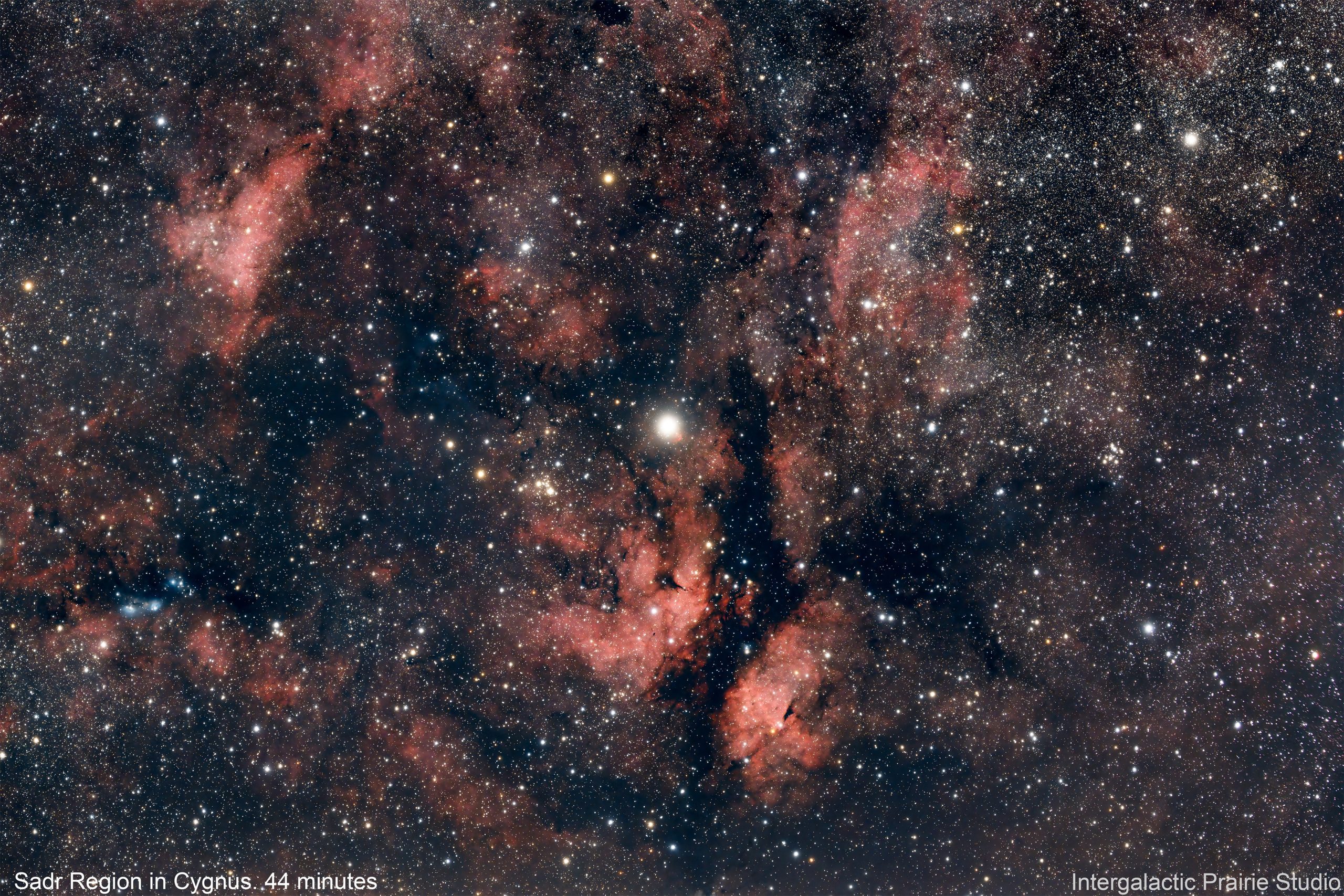 MICHAEL W. DEAN – Feeding the hamster in your brain